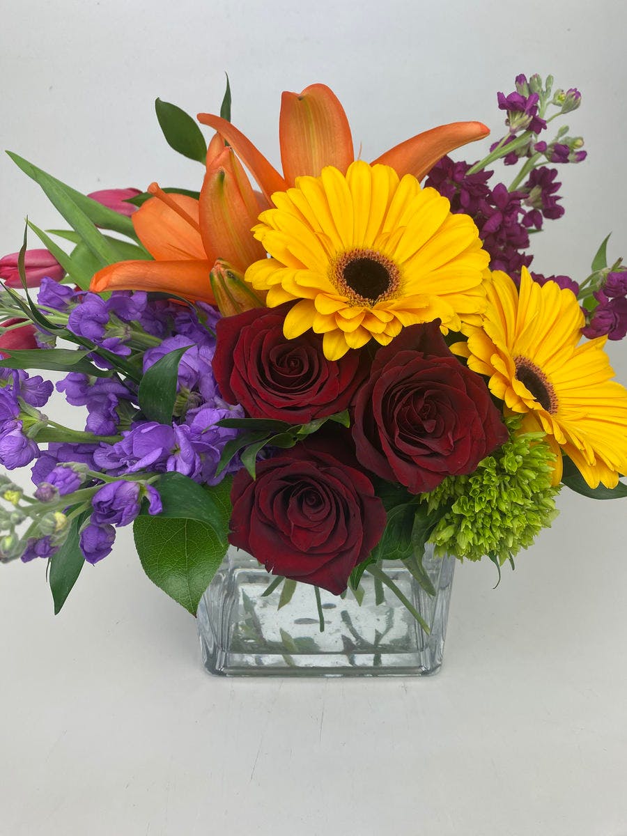 Bold & Beautiful Color Block Flowers | Julia's Florist